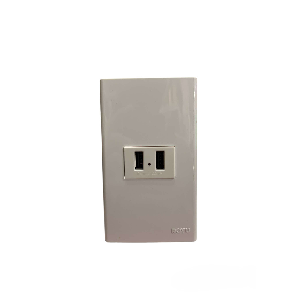 Royu USB Outlet with Plate Cover USB-A 2100Mah 5V DC Charging Port 1 ...