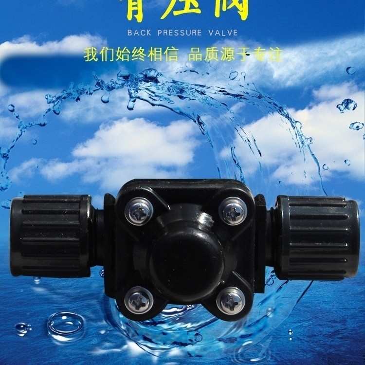 Back Pressure Valve DN15Safety Valve Metering Pump Chlorine Dioxide ...