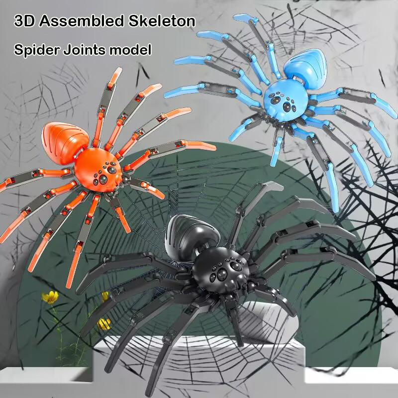 3D Movable Joint Spider Model DIY Assembled Skeleton Simulation for ...