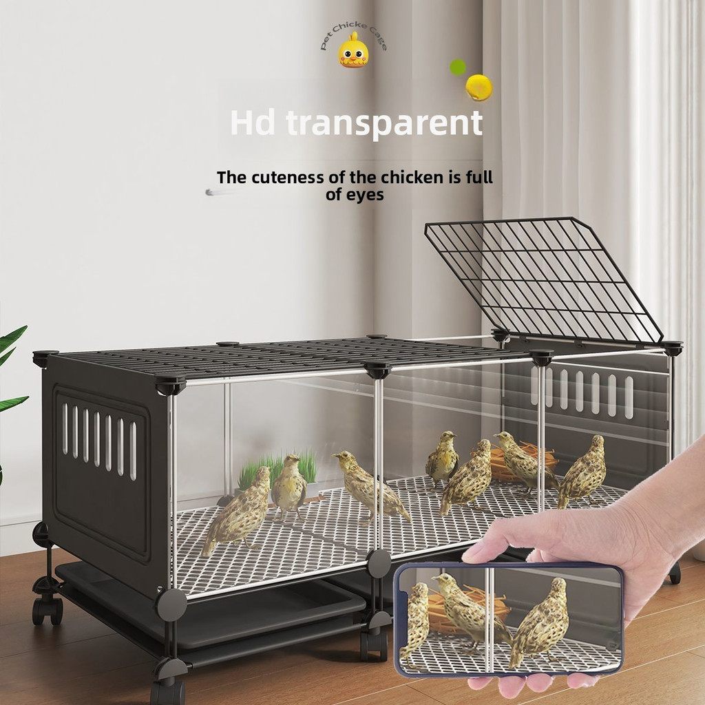 Special Cage for Quail Chickens, Ornamental Cage, Breeding Box, Home ...