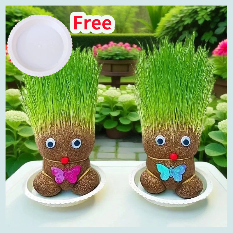 [READY]Grass Head Room Decor Children Growing Grass Doll Toys Indoor ...