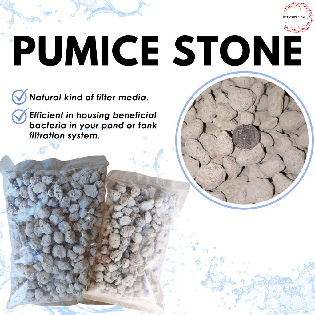 Pumice Stone Filter Media 500g 1kg for Pond and Aquarium | Shopee ...