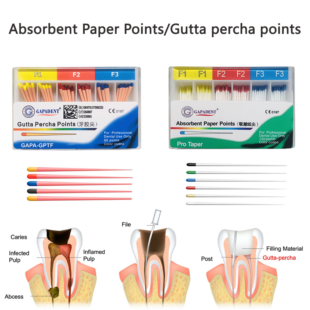 F1-F3 Dental Absorbent Paper Points/Gutta percha points | Shopee ...