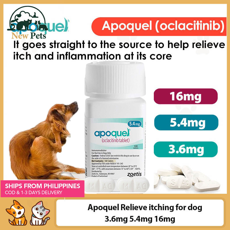 Apoquel Anti Itch Tablets for Dogs Allergy Dermatitis Relief Stops ...