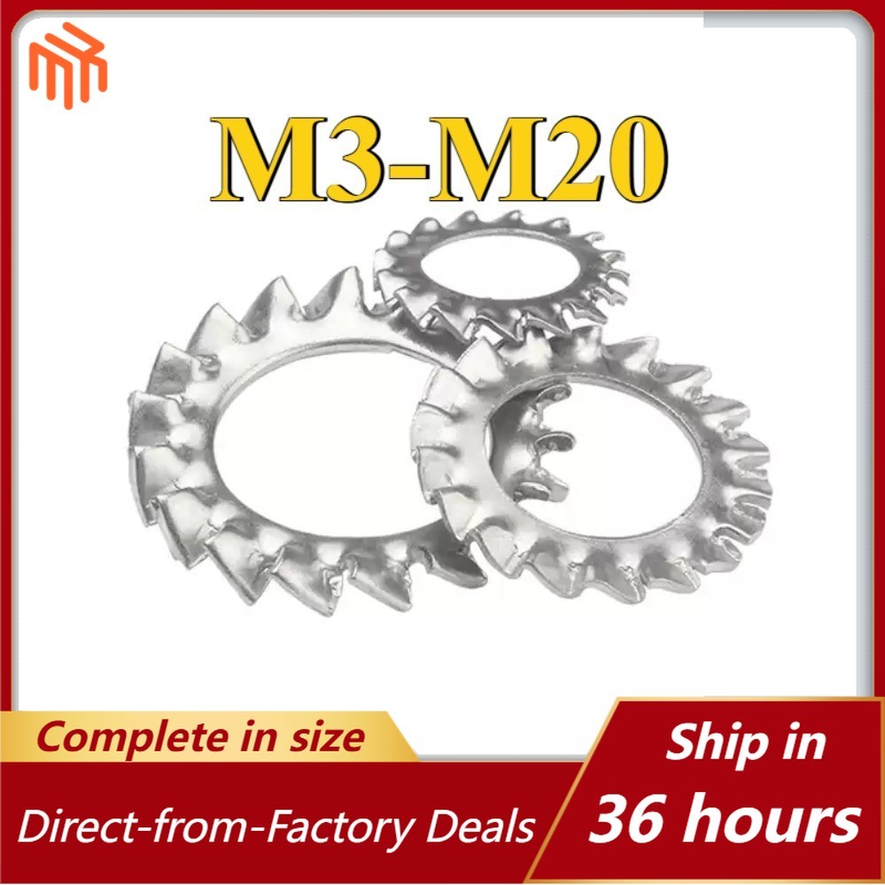 316 Stainless Steel Outer Sawtooth Washer M3-M20 (MX-PH) | Shopee ...