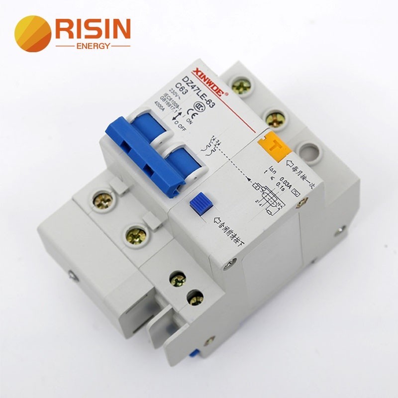 2P 6A-63A 80A-100A 30mA/100mA/300mA RCBO/RCCB/RCD/ELCB Leakage Circuit Breaker | Shopee Philippines