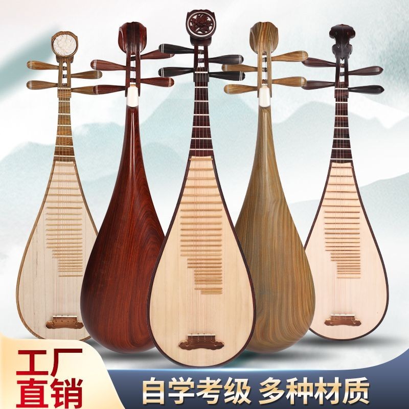 Pipa Musical Instrument Rosewood Children's Practice for Beginners PIPA ...