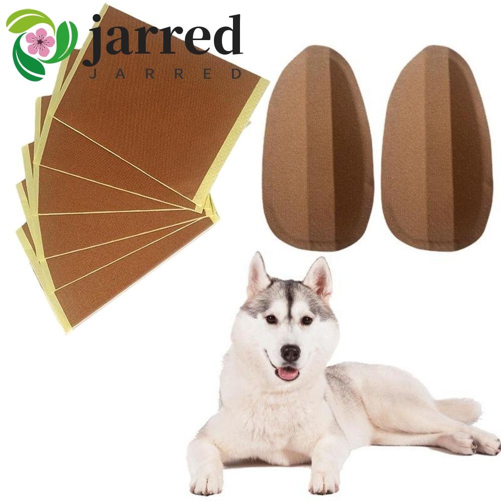 JARRED Dog Ear Stand Up Stickers Auxiliary Support Pinscher Dog Ear ...