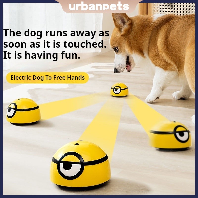 Dog Toys Electric Teasing Dog Relief Vocalization Puzzle Bite ...