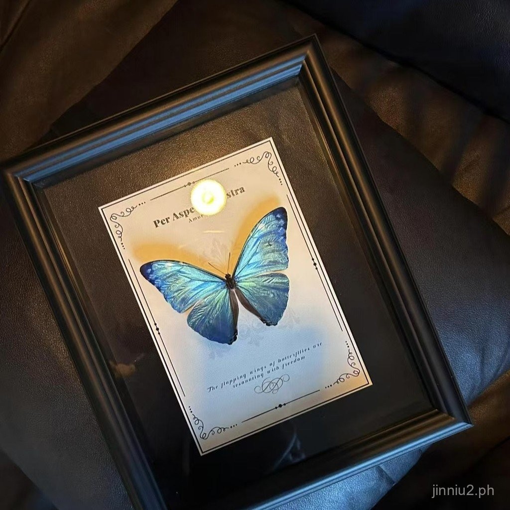 Antonis Little Blue Morpho Butterfly Luxury Affordable Birthday High ...