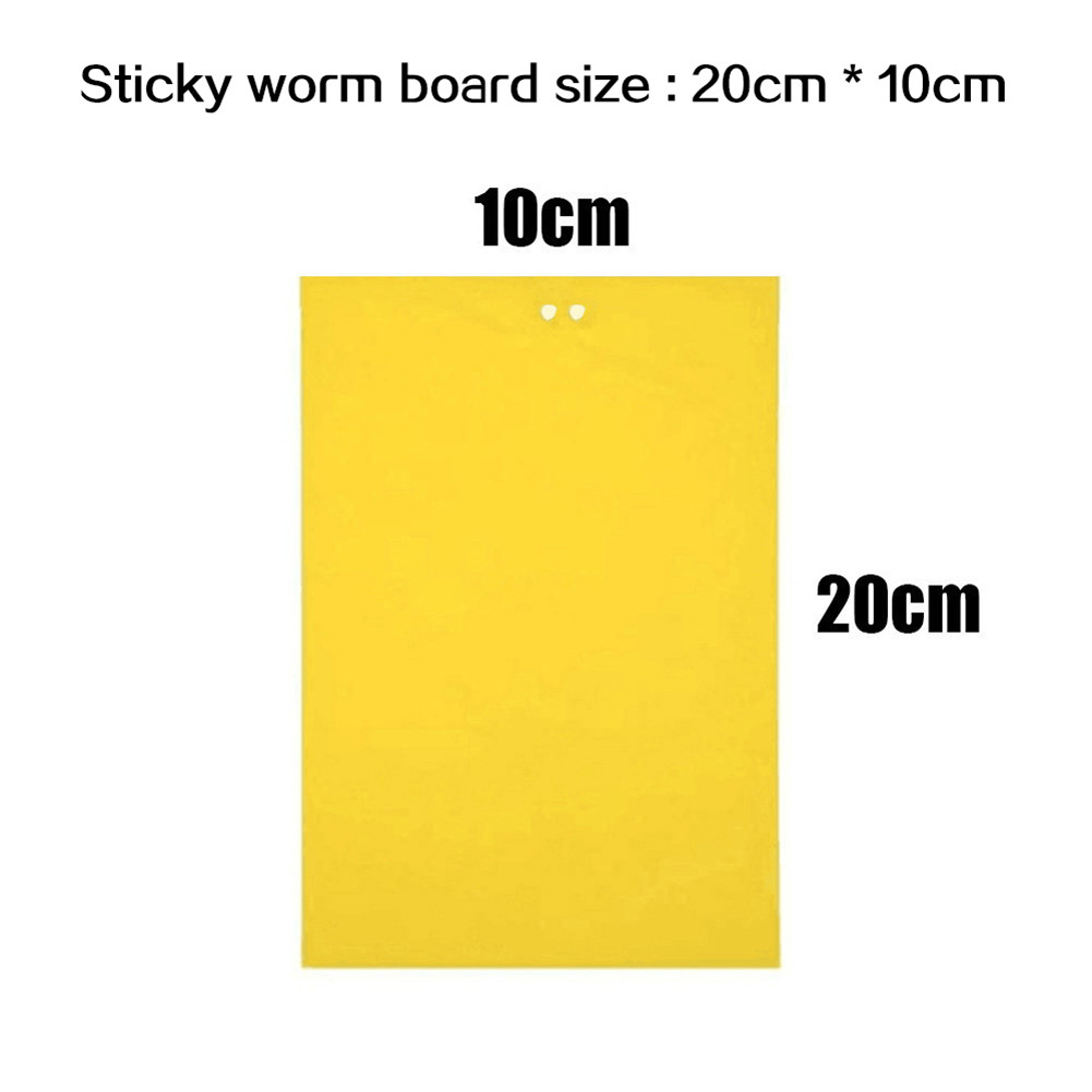 [outdoorstyle.ph] Sticky Insect Board Powerful Flycatcher Yellow Blue ...