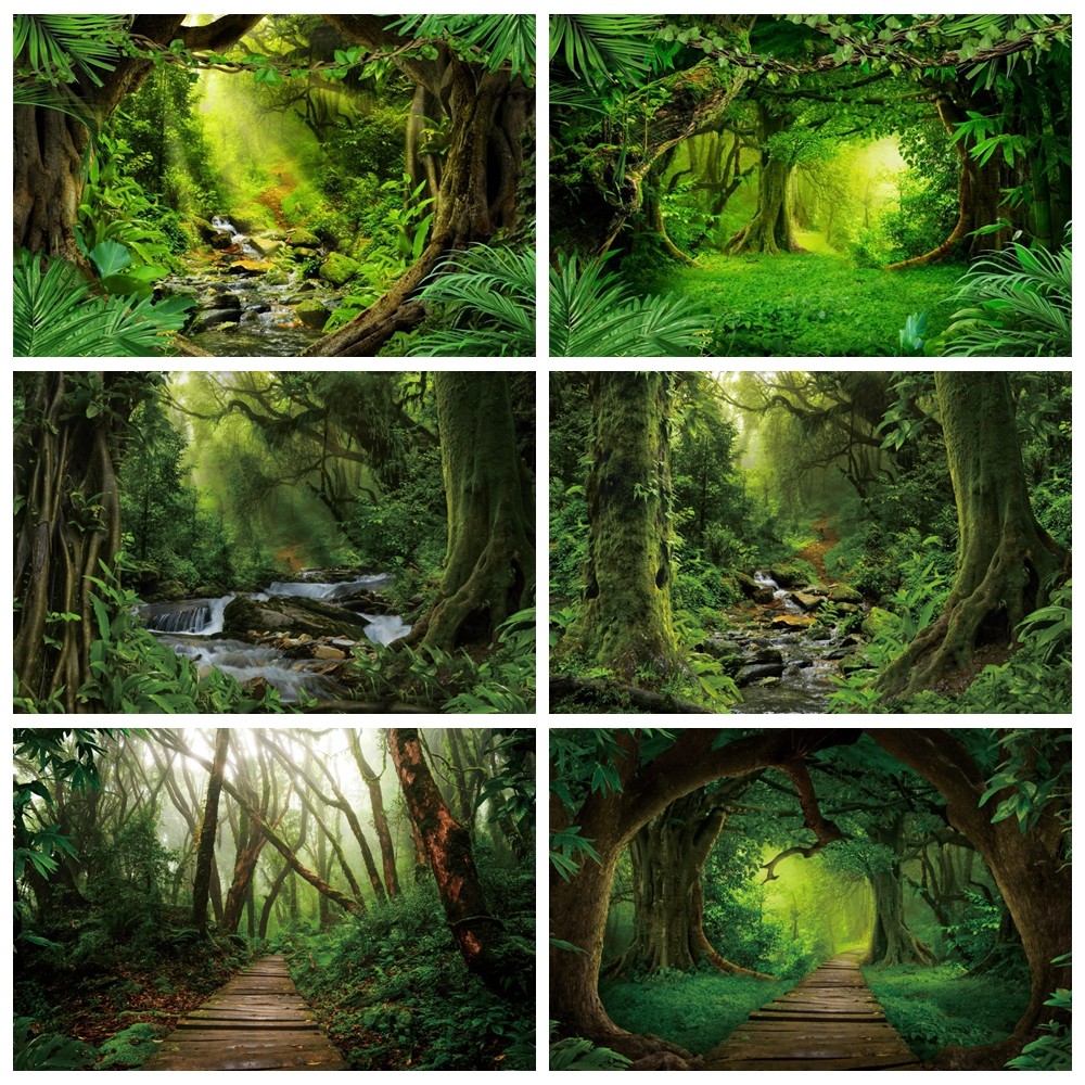 Forest Backdrop Spring Jungle Rainforest Green Leaves Natural Landscape ...