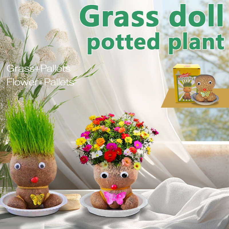 Grass Head Room Decor Children Growing Grass Doll Toys Indoor Office ...