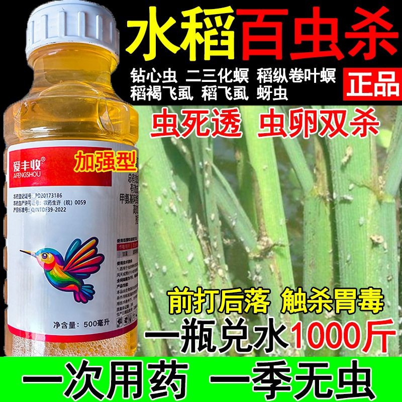 Water Rice Insecticide Dedicated Rice Insecticide Insecticide ...