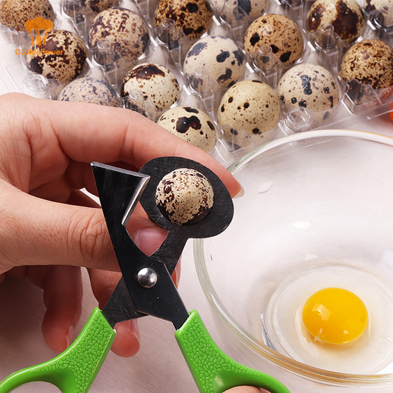 CKFR pigeon Quail Egg Scissor Bird Cutter Opener Egg Slicers Kitchen ...