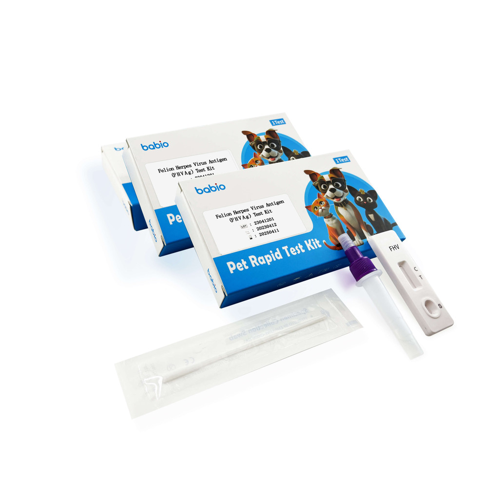Feline Herpesvirus Antigen Test Kit - FHV Ag Detection Kit for Accurate ...