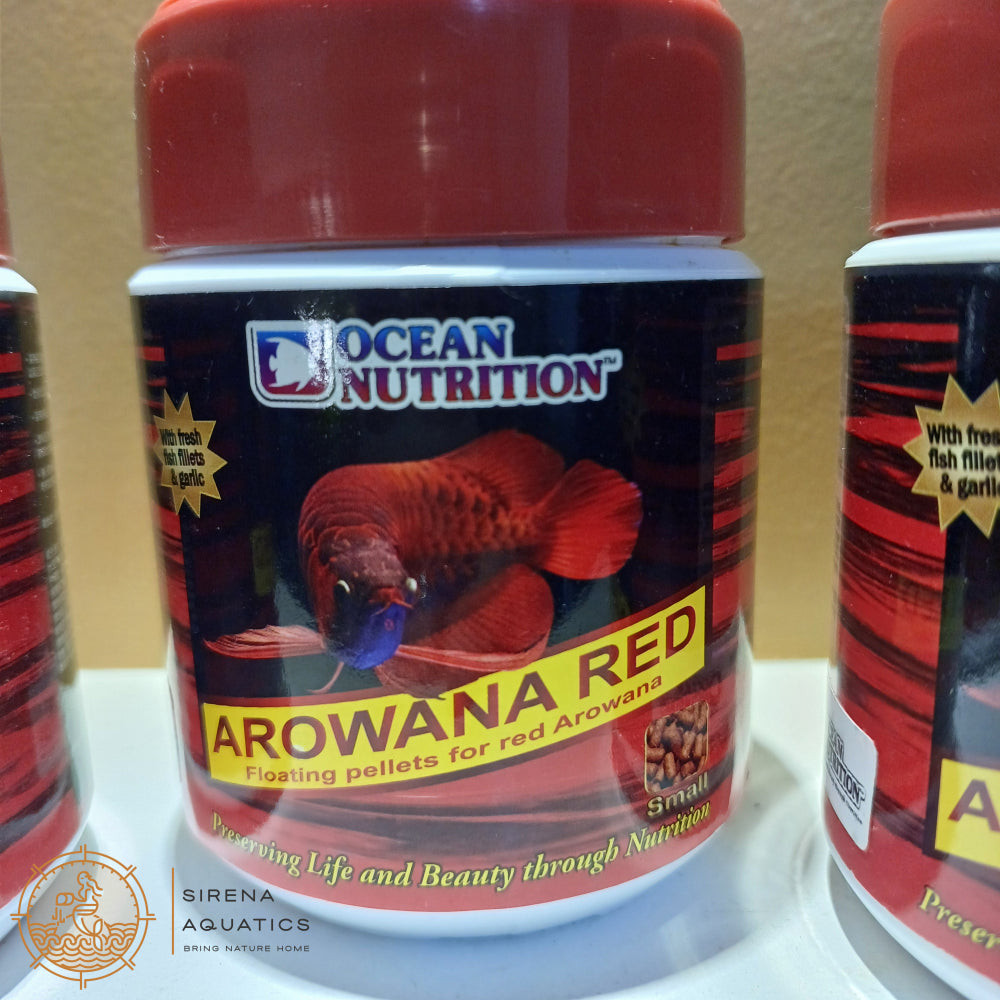 Ocean Nutrition AROWANA RED Fast Absorbing Floating Sticks for Small ...