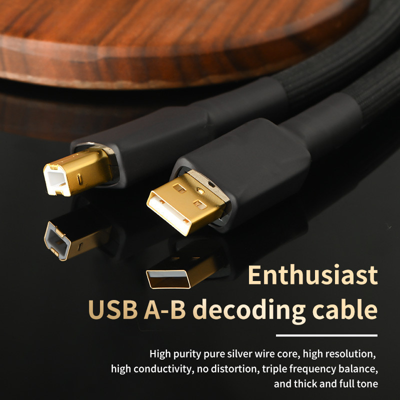HiFi USB A to B Cable Pure Silver Data Audio Digital Cable for Sound ...