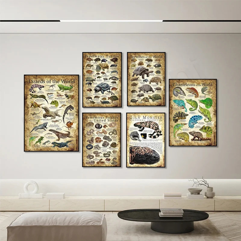 Reptile Amphibian Educational Poster Set Wildlife Wall Art Decor ...
