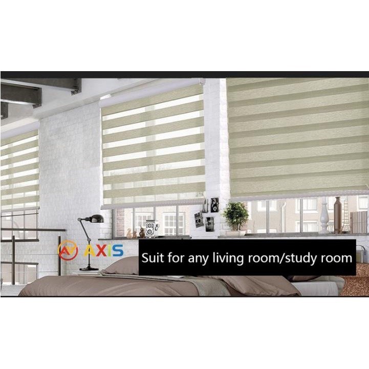 BUY 1 TAKE 1 Double layer Day and Night Indoor Shade Window Zebra ...