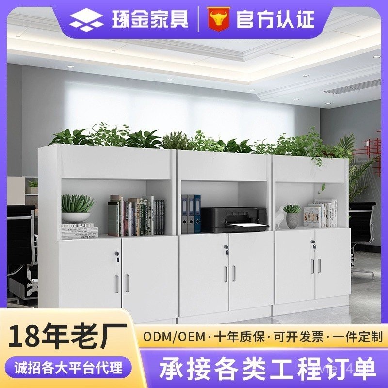 Office Partition Cabinet Green Plant File Cabinet Partition Cabinet ...