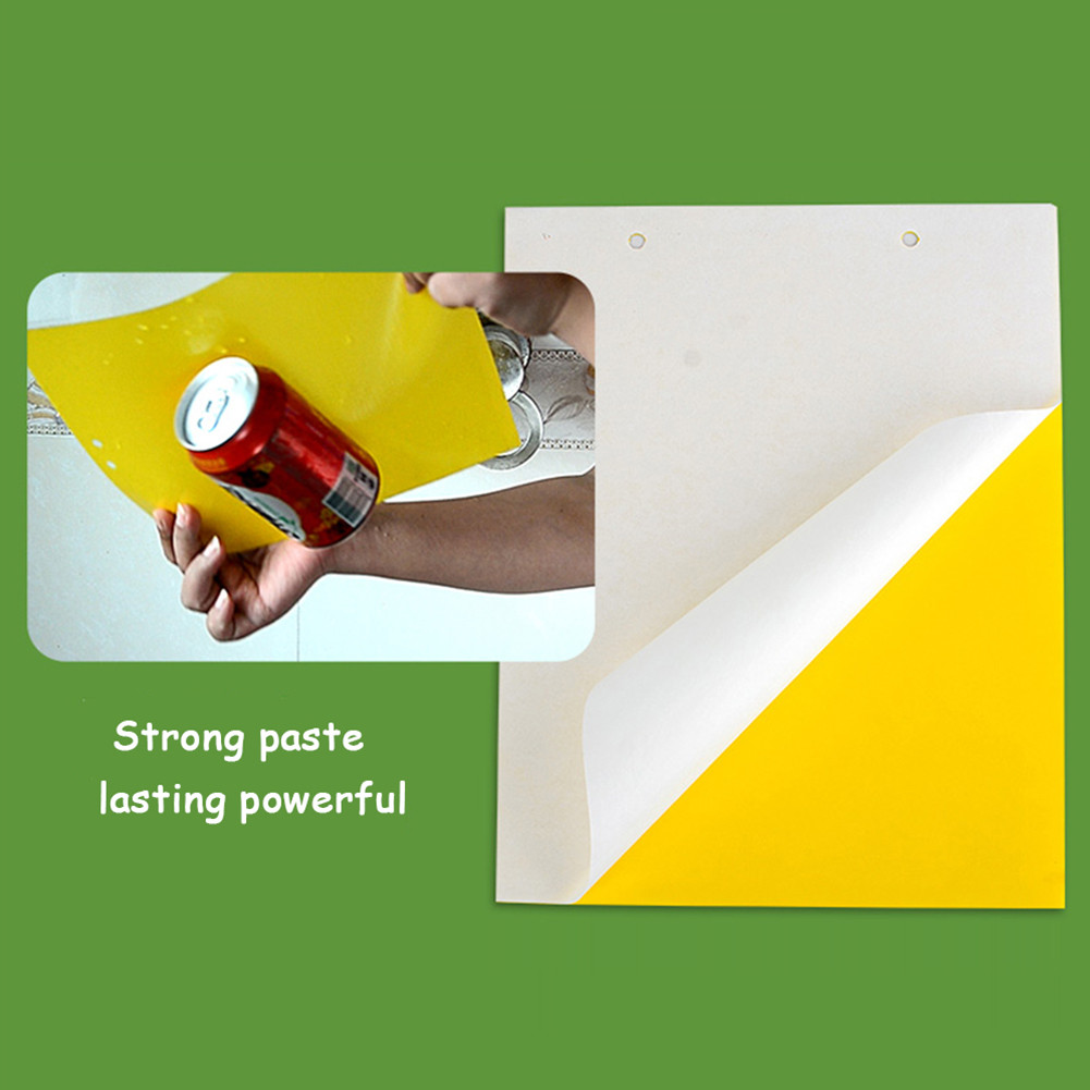 [outdoorstyle.ph] Sticky Insect Board Powerful Flycatcher Yellow Blue ...