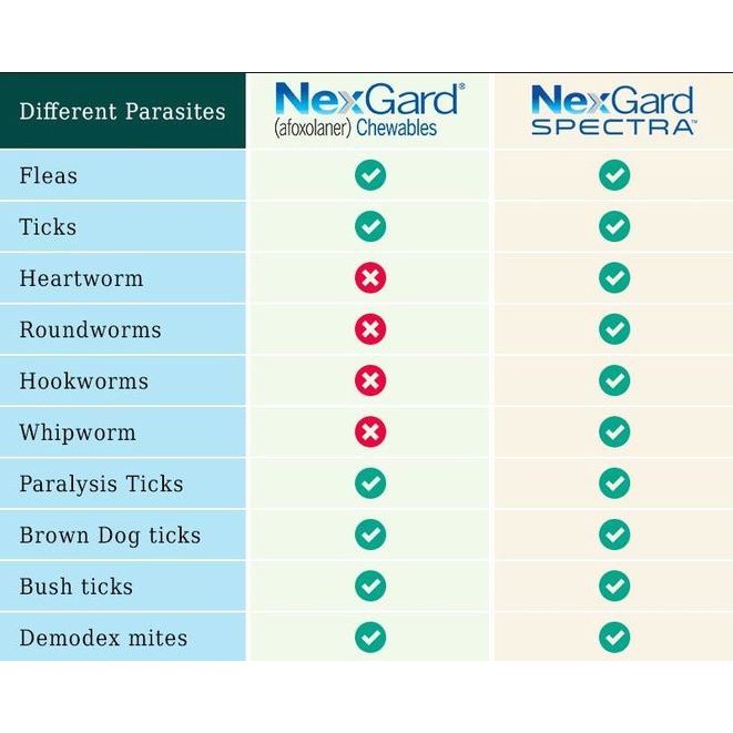 Nexgard Chewable Anti-Tick & Flea Tablets for Medium Dogs 4-10kg ...