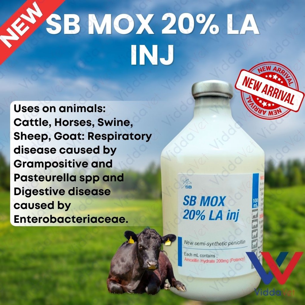 100 ml SB MOX 20% LA Amox La 200 made Korea same as Phylumox | Shopee ...