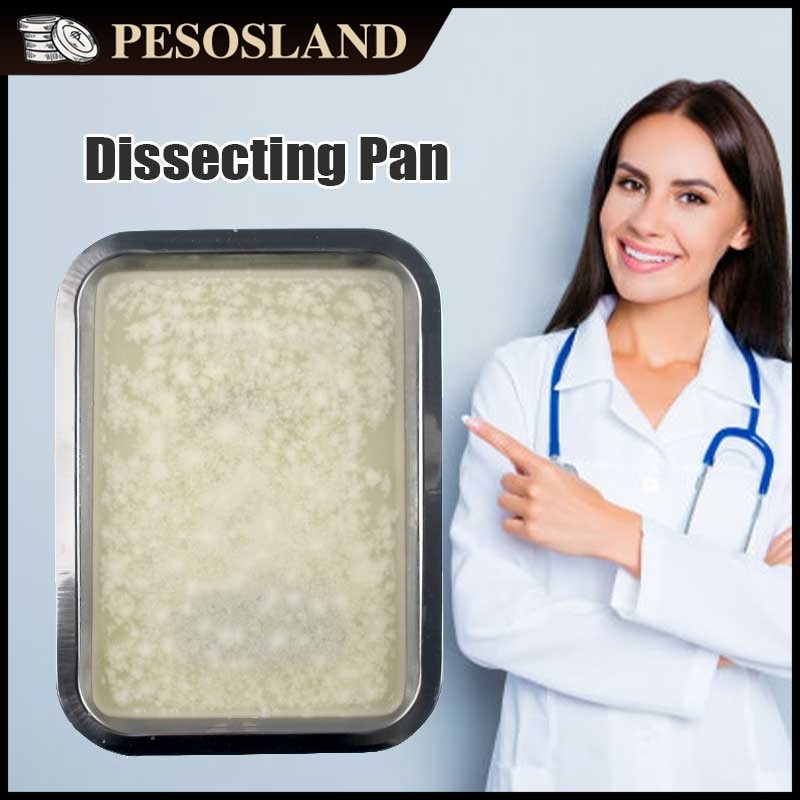 Stainless Steel Dissecting Pan With Wax For Laboratory - 19*26cm ...