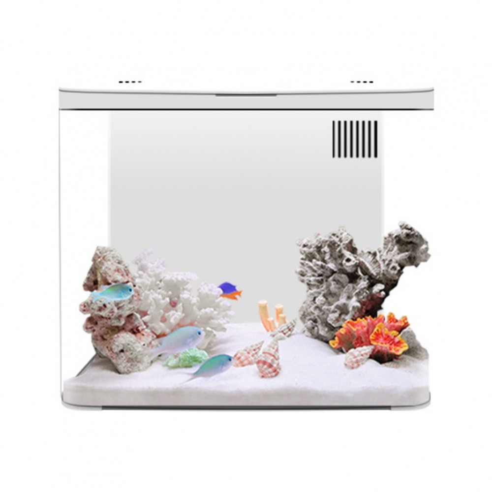 Betta Fish Tank Adjustable LED Lighting For Fighting Fish Aquarium ...