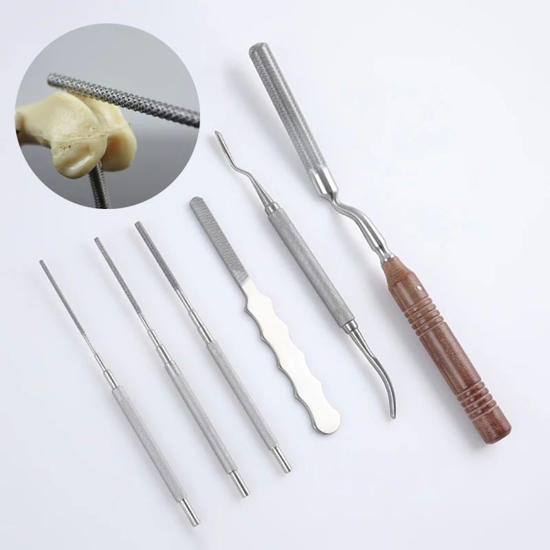 Pet Orthopedics Equipment Medical Flat Bone File Contusion Knife Small ...