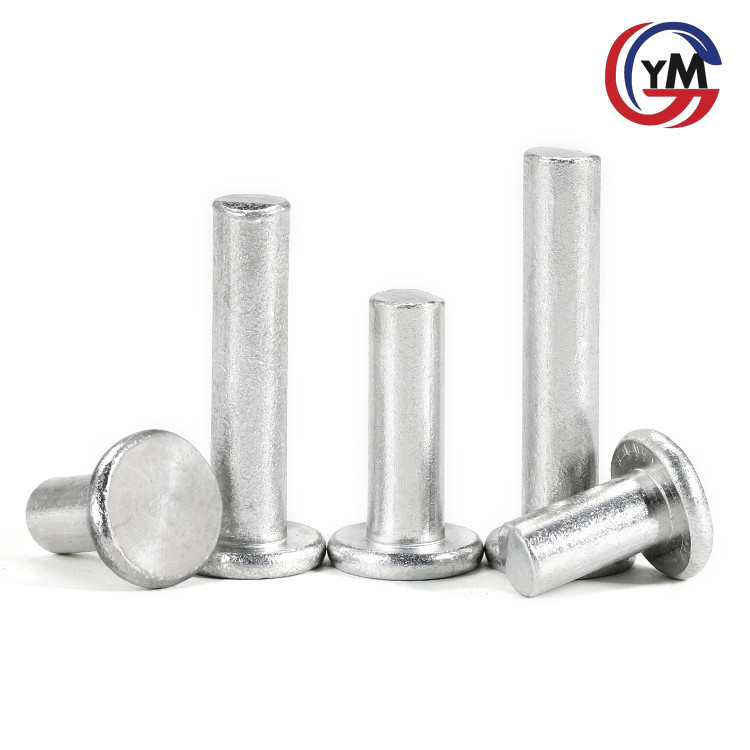 [Quick Shipment] GB109 Flat Round Head Aluminum Rivets M2M3M4M5M6M8 ...