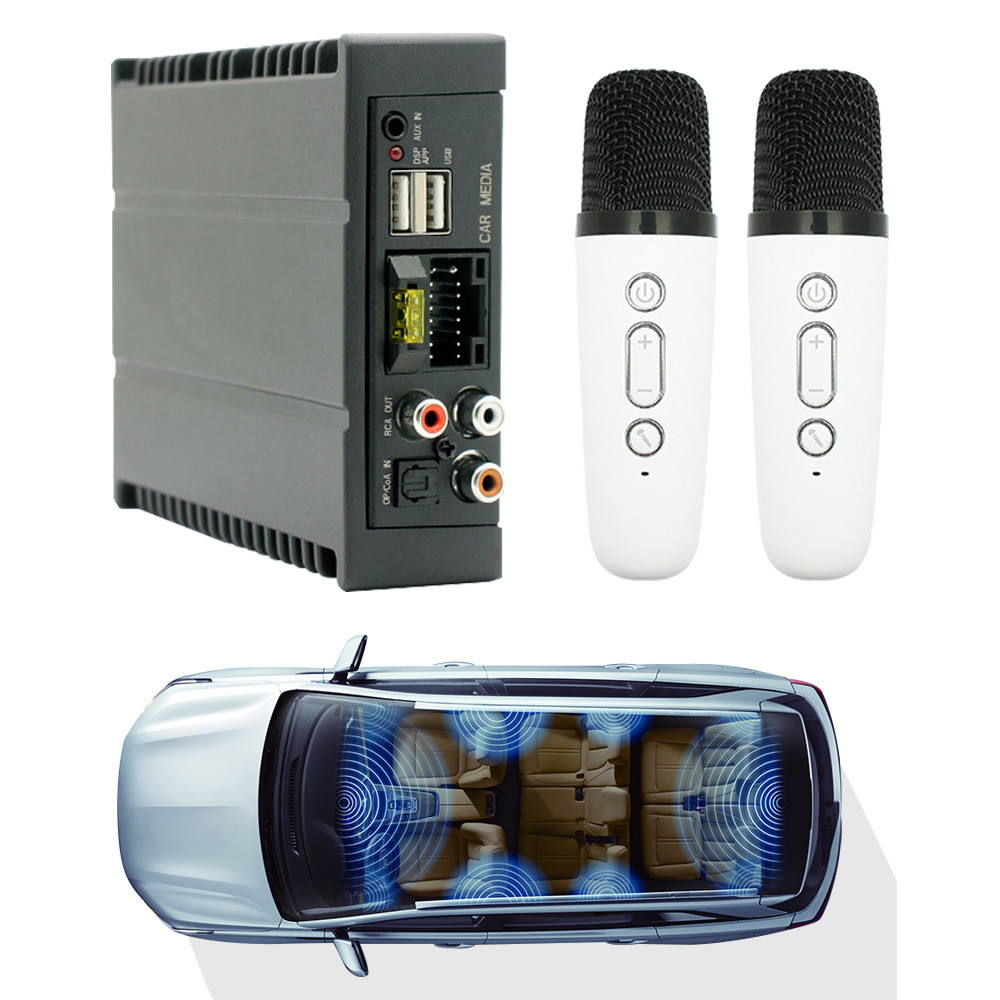 Car Digital Audio Processor With 2 Microphone DSP Amplifier With Wiring ...