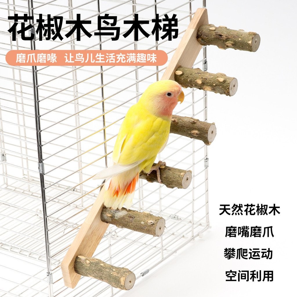 [NF] Lightweight Birds Ladder Parrot Climbing Stairs Birds Parrot For ...