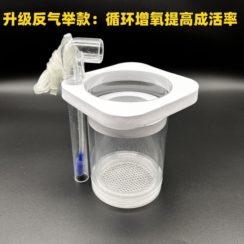 Guppy Breeding Golden Wave Incubation Box Beard Fish Golden Wave ...