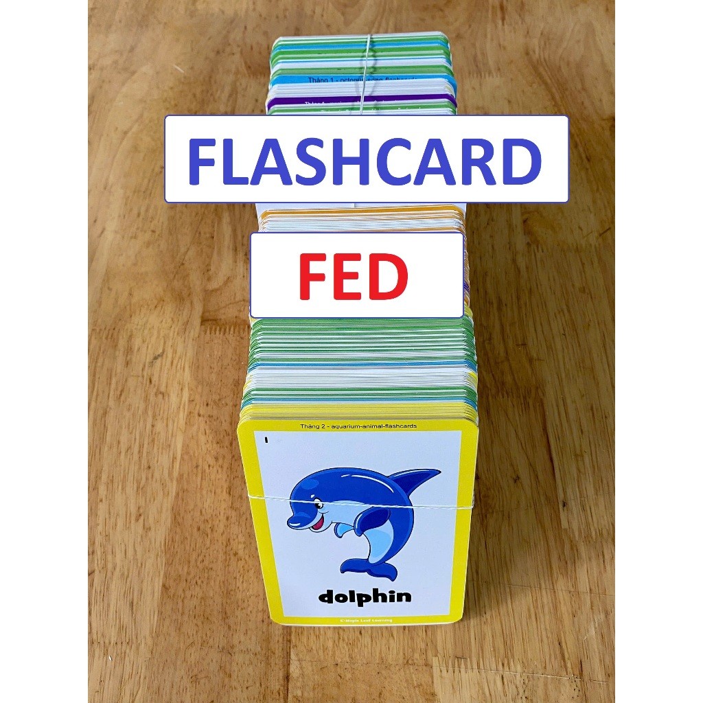 Fed Flashcard complete set Separately, fed cards for Learning English ...