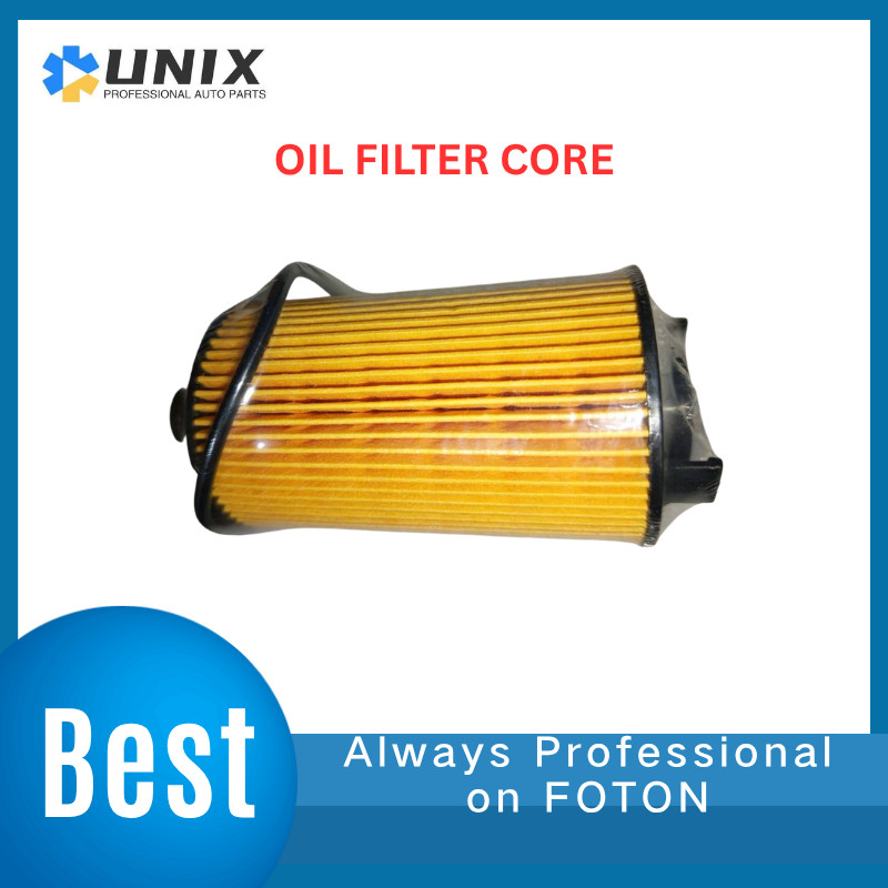 FOTON AUCAN OIL FILTER CORE AM PP10007597 GOOD QUALITY | Shopee Philippines