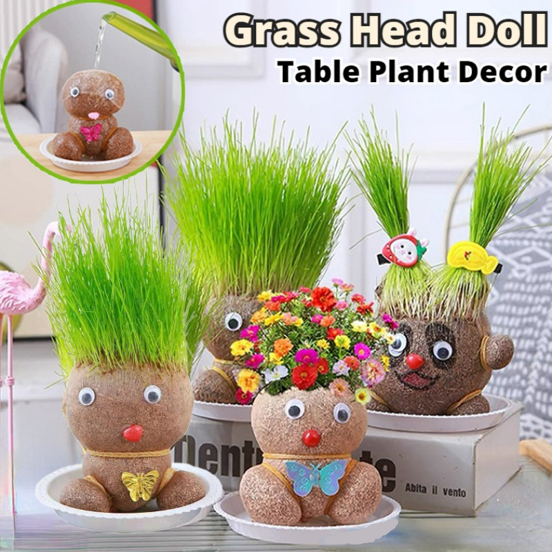 Grass Head Room Decor Children Growing Flower Grass Head Doll Toys ...