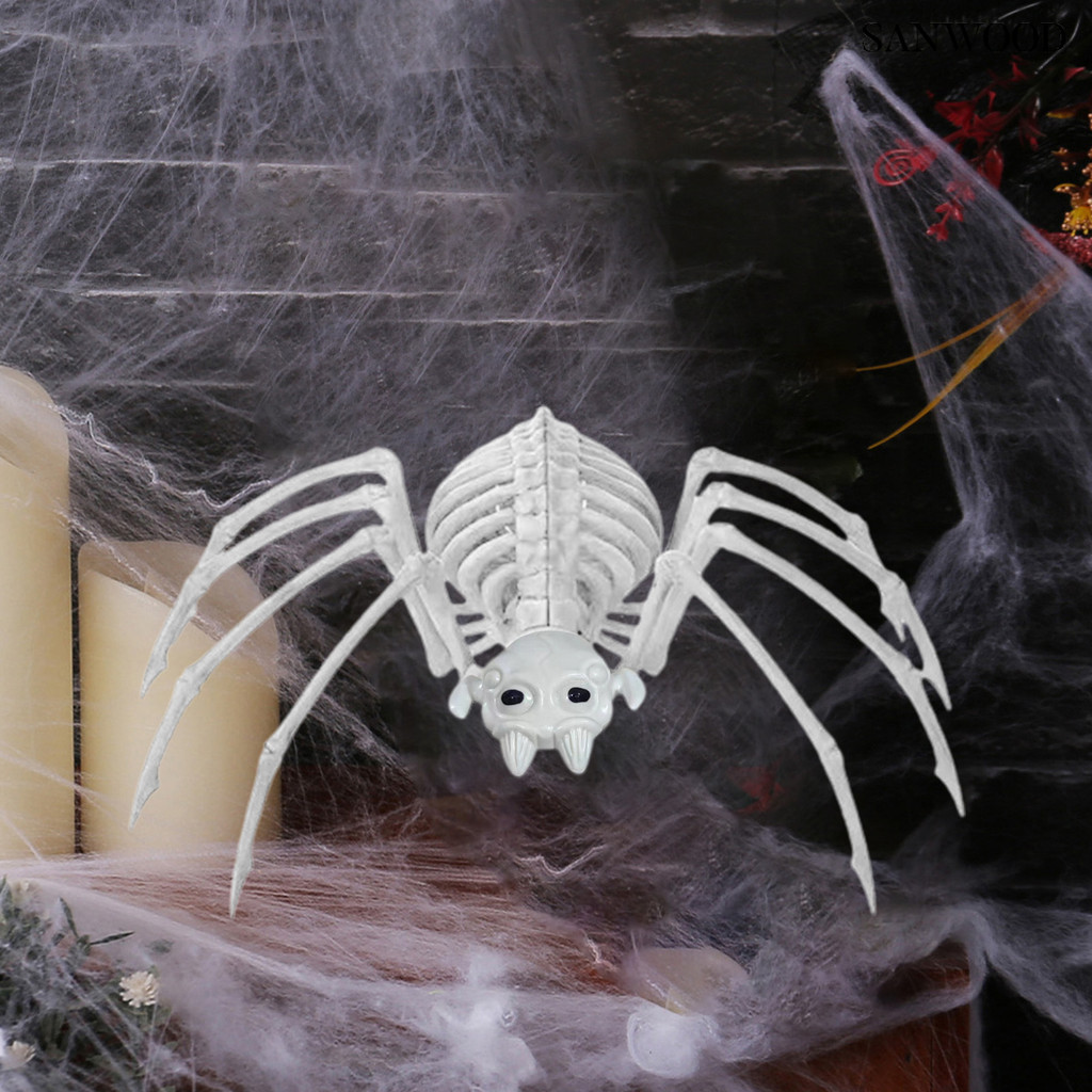 Sanwood Halloween Spider Skeleton Plastic Skeleton Animal Model ...