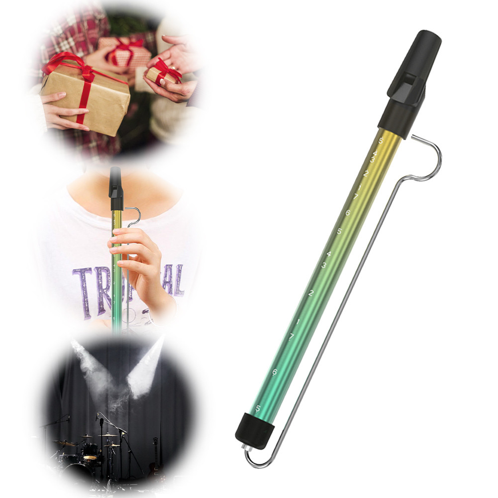 Metal Slide Whistle Scale Sliding Flute Yoyo Flute Piccolo Kazoo for ...