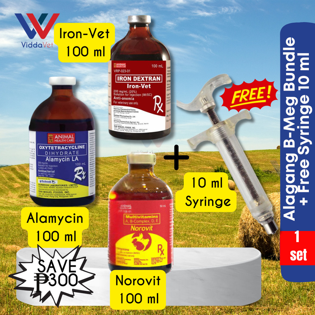 3+1 Alagang Bmeg bundle Norovit Iron-Vet 10 ml Fiberglass syringe ...