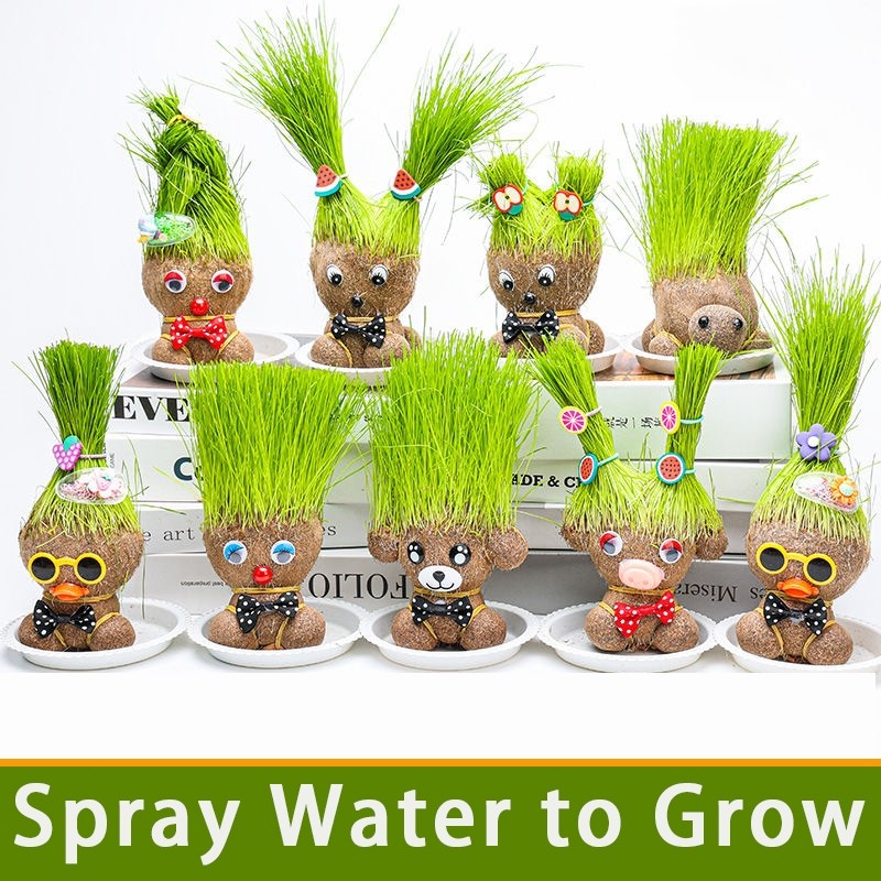Grass Head Mini Plant potted plant Growing Grass Head Doll Office Table ...