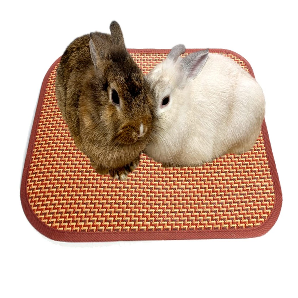 Rabbit Cage Mats Set - 4 Pieces of Bunny Cushion Made from Natural ...