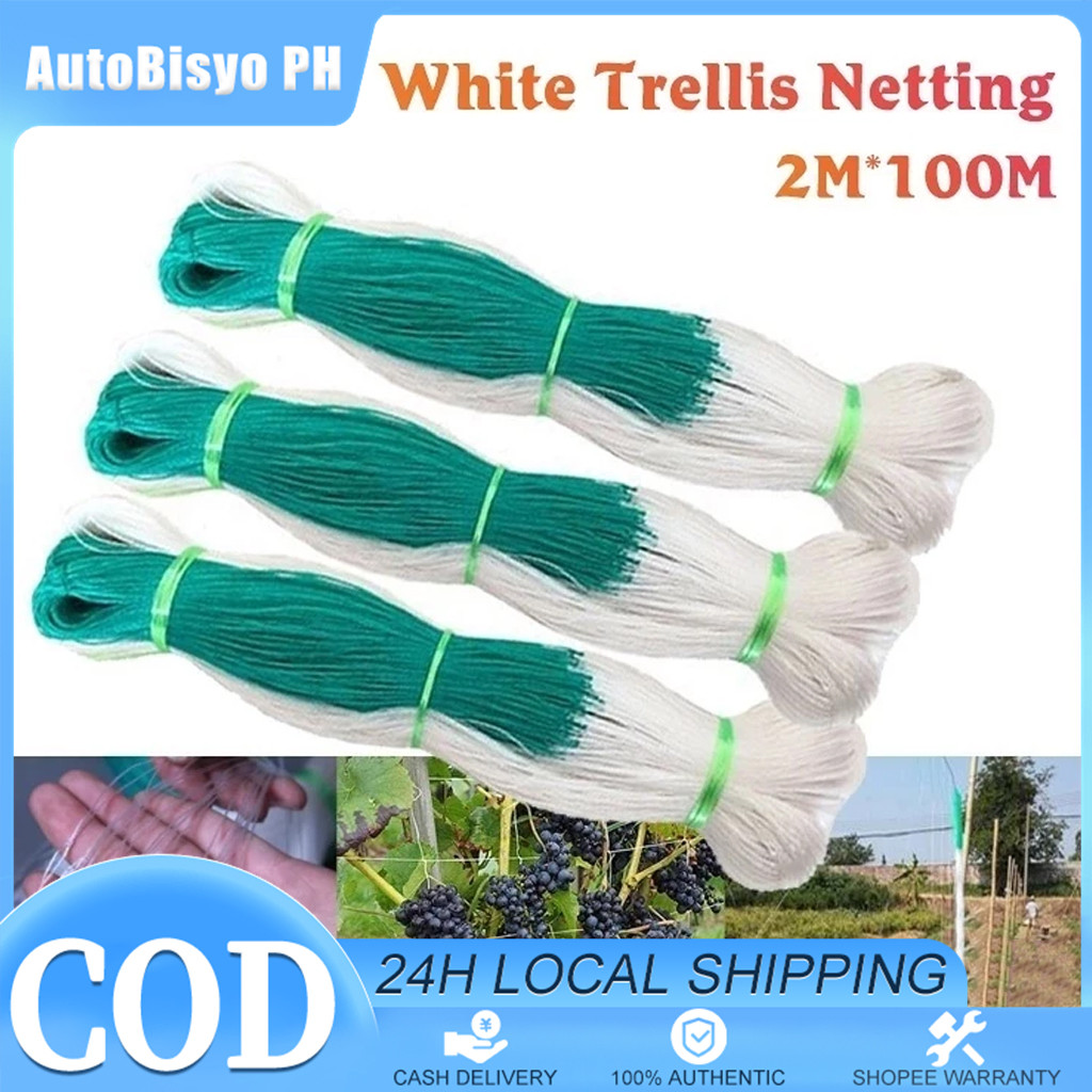 (COD) 2Mx100M Banana Plant Trellis - White Nylon Support Net for ...