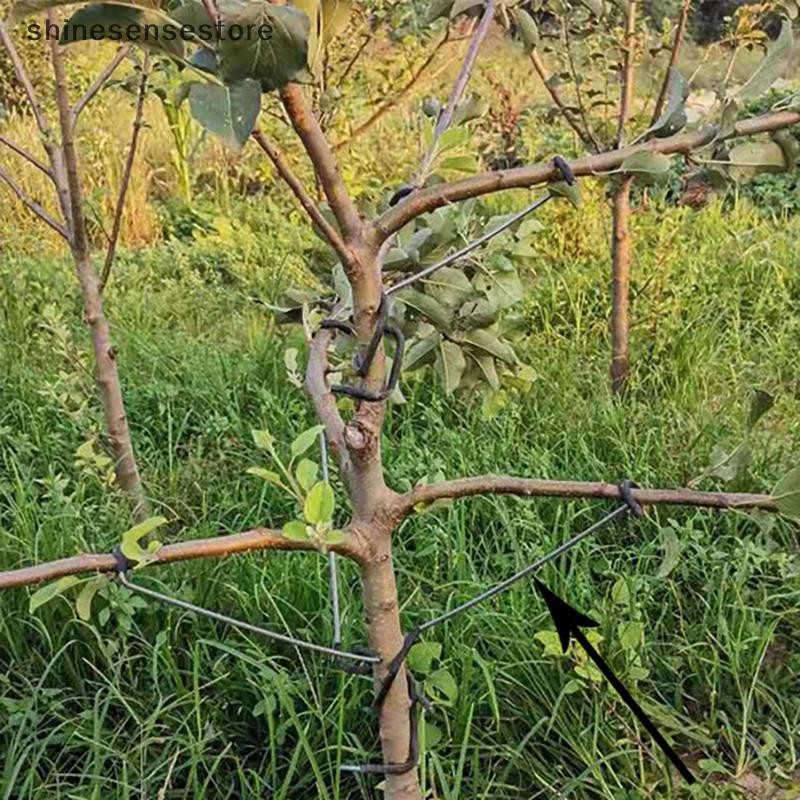 【Shines】 10Pcs Fruit Tree Branches Holder Plant Support Fruit Branch ...