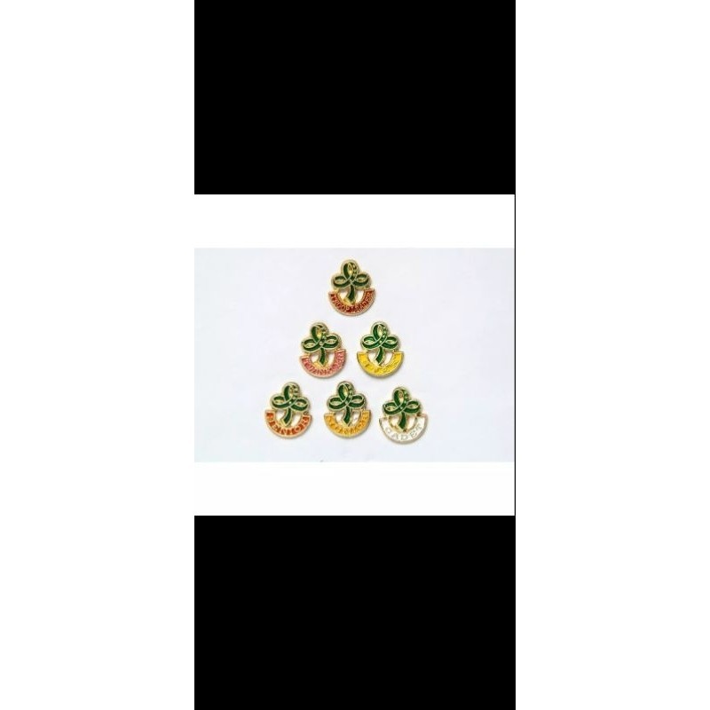 PIN FOR GSP(TWINKLER,JUNIOR,STAR AND SENIOR PIN) | Shopee Philippines