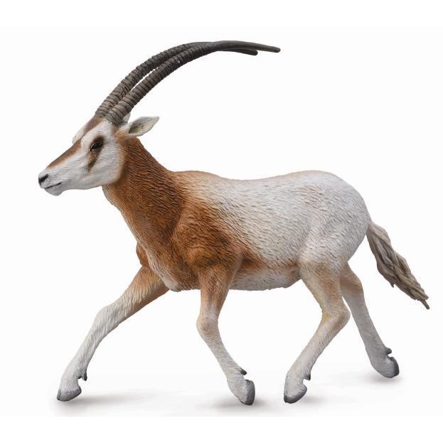 Collecta Wildlife Model 88637 - Scimitar Horned Oryx Collectible ...