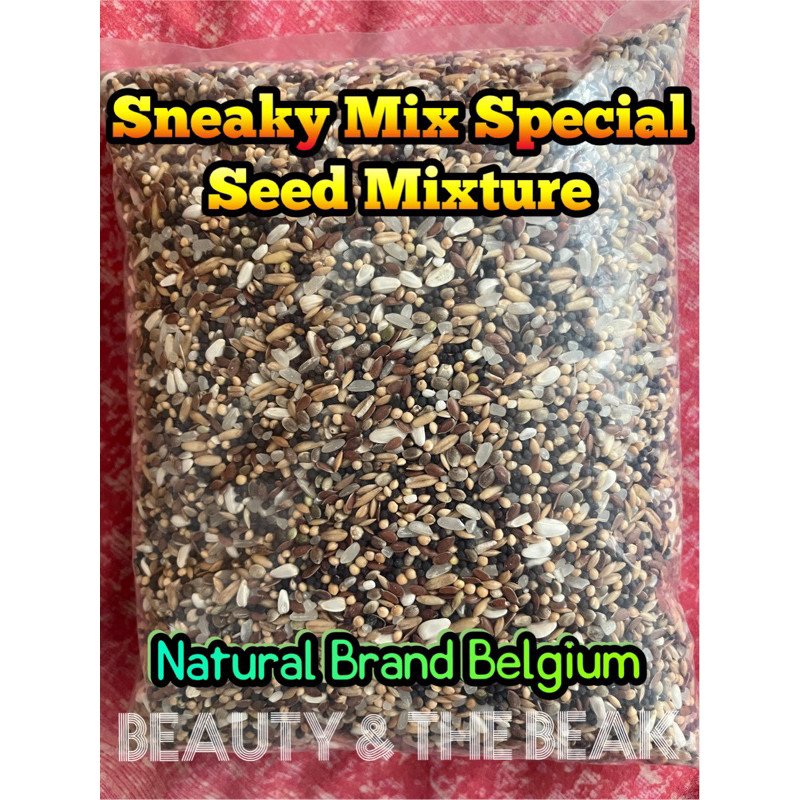Natural Brand Belgium Pigeon Sneaky Mix Special Small Seed Mixture 500g ...