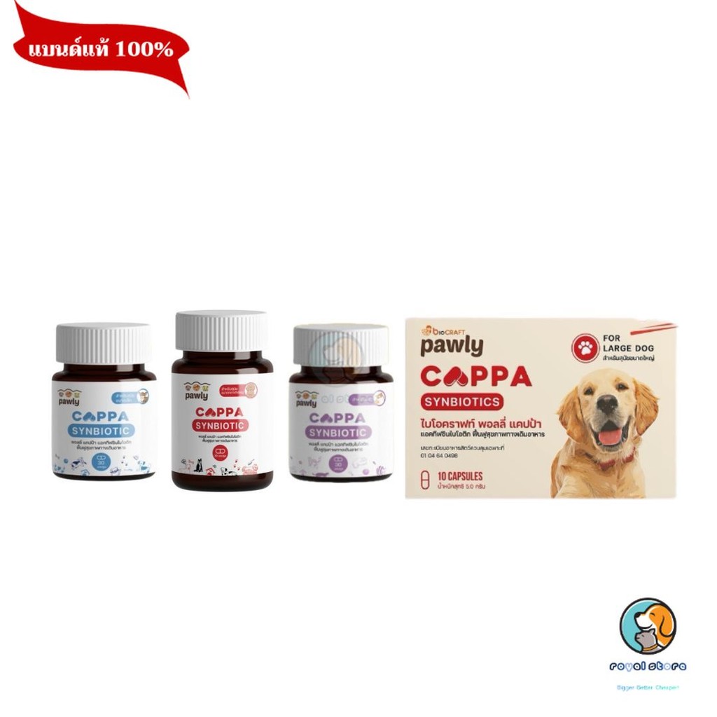 Pawly Cappa Gastrointestinal Balancer For Dogs & Cats | Shopee Philippines