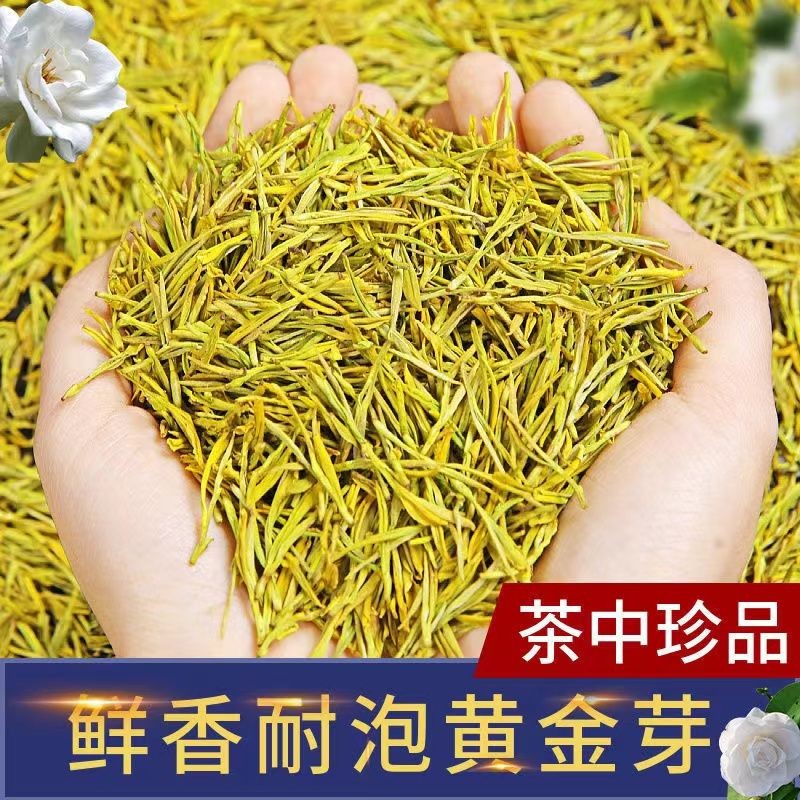 Authentic Golden Sprout 2025 New Tea Bulk Bean Tea Cheap Genuine Golden ...